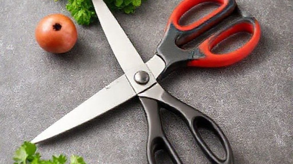 10 Best Kitchen Shears for Every Kitchen Task - Smart Cooks